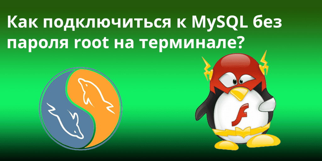 How To Connect To Mysql Without Root Password On Terminal Vrogue
