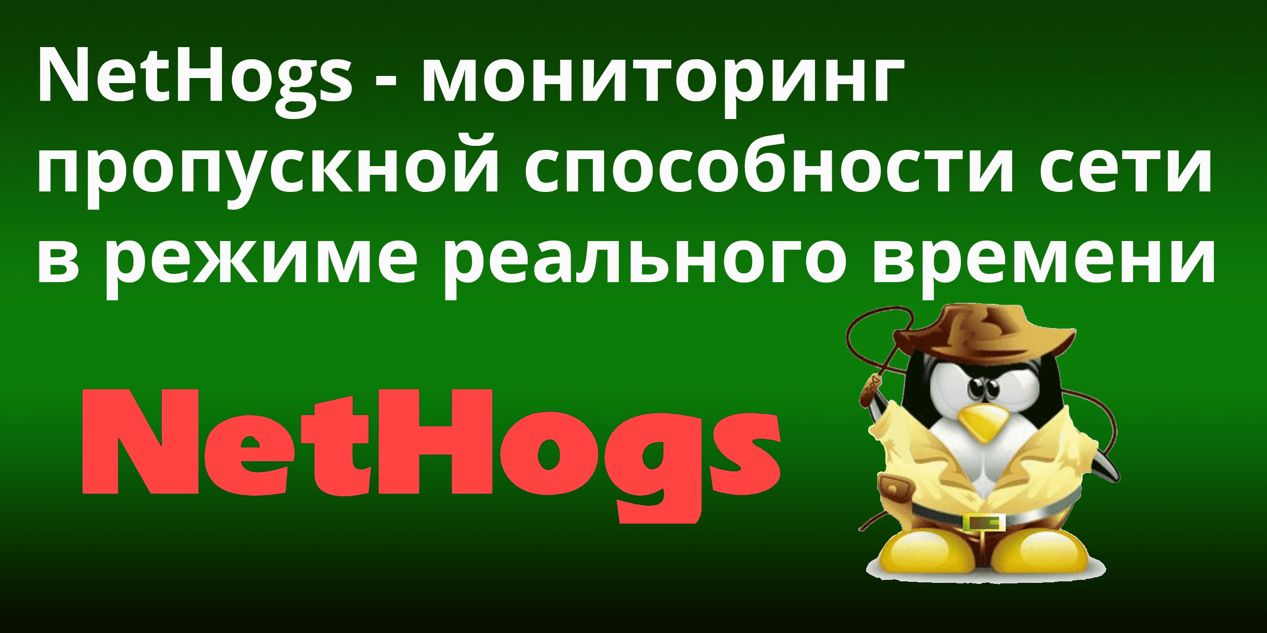 NetHogs - мониторинг пропускной способности сети в режиме реального времени
