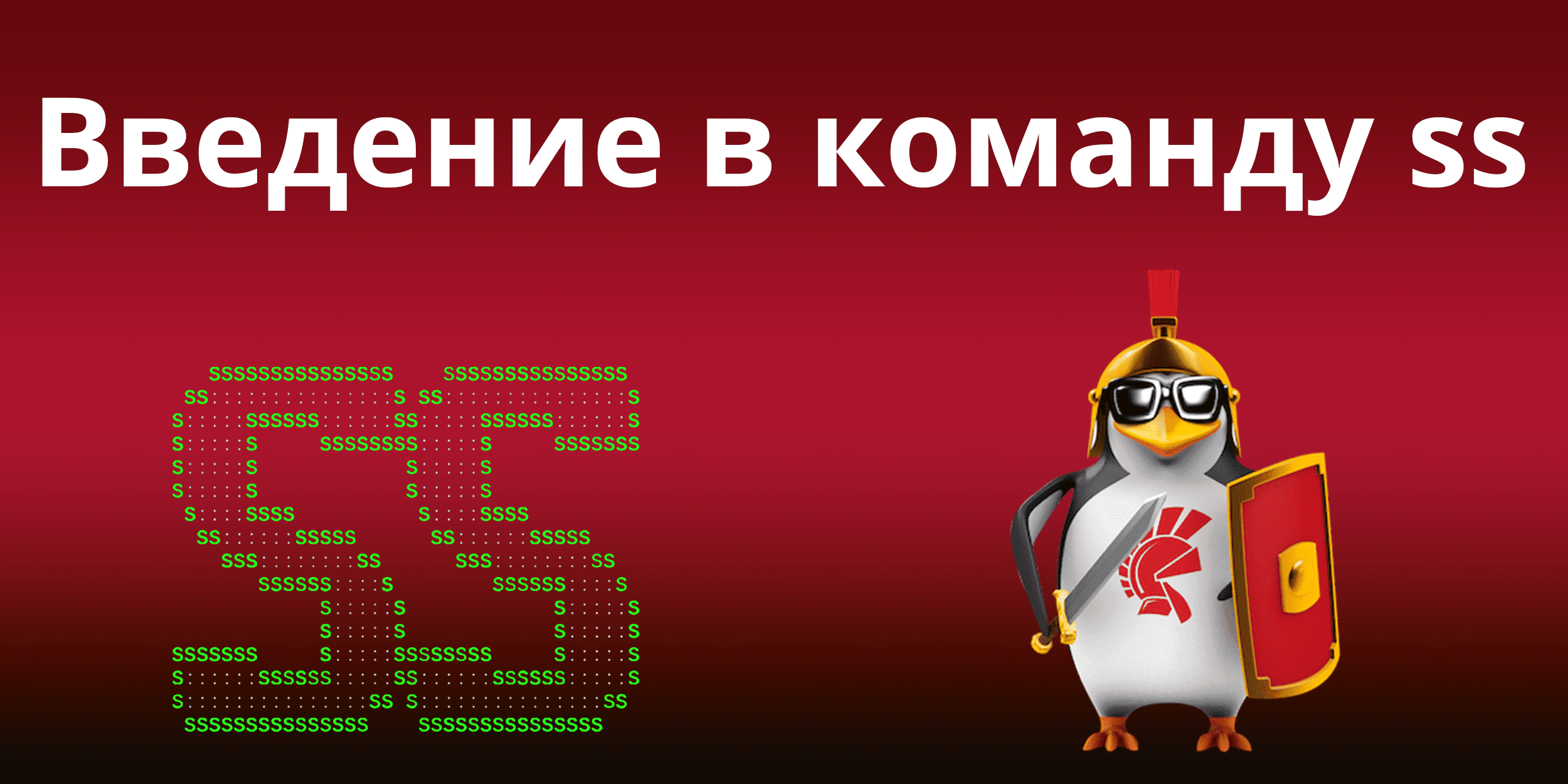 Введение в команду ss: основные способы применения