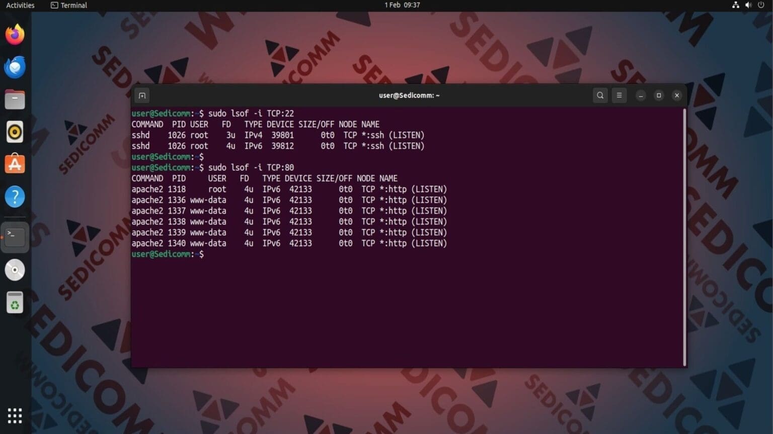 10 примеров использования команды lsof в Linux