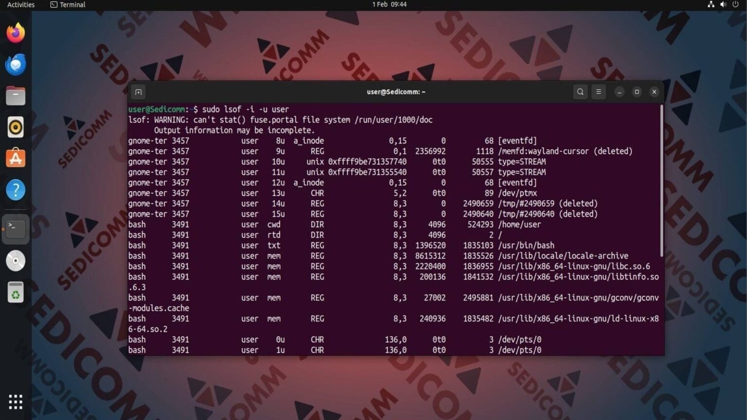 10 примеров использования команды lsof в Linux